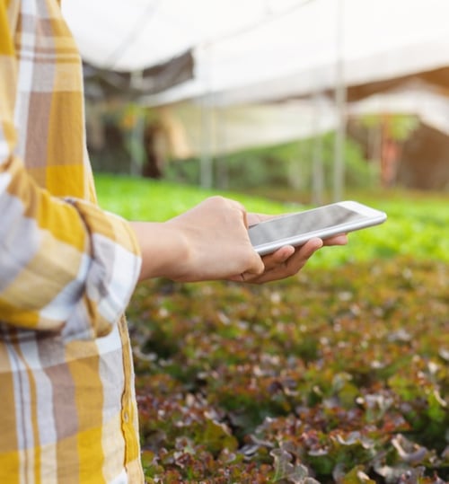 Introducing Farm Check