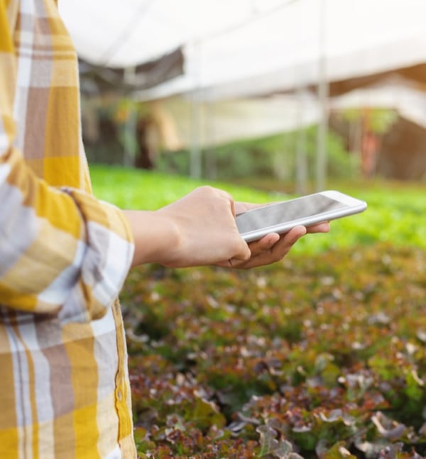 Introducing Farm Check